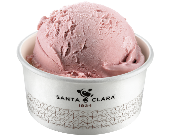 Santa Clara Helados