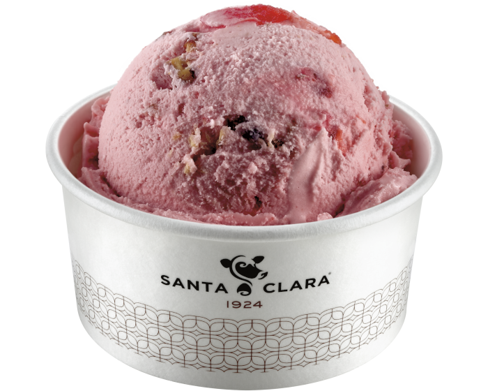 Santa Clara Helados